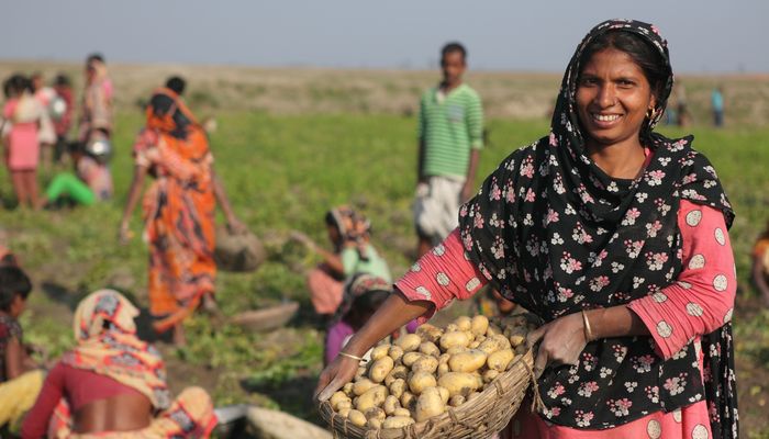 BRAC Seed & Agro Enterprise | Transforming seeds for food security ...