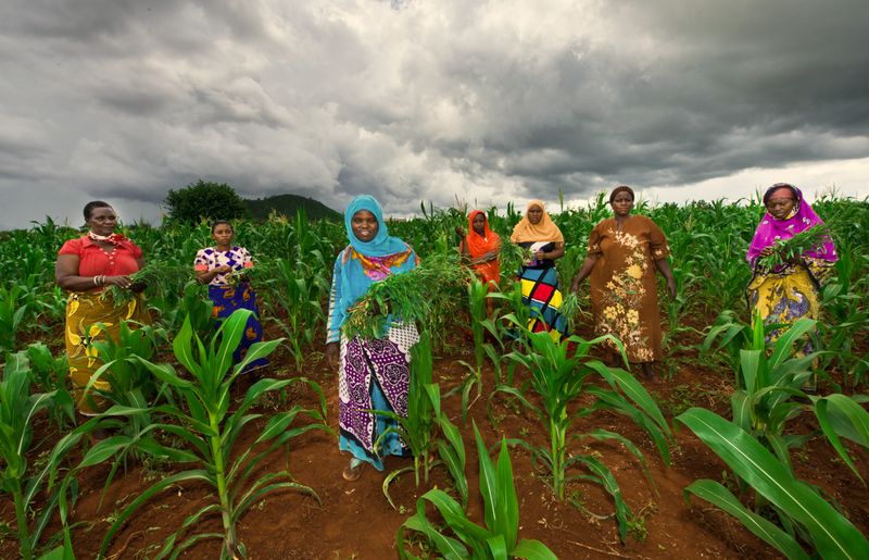 Tanzania - BRAC International