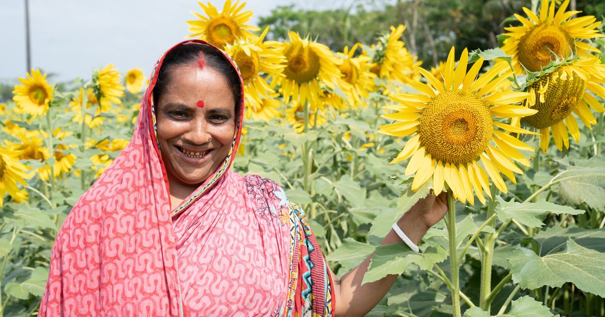 BRAC Seed & Agro Enterprise | Transforming seeds for food security ...