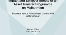 Impact and Spillover Effects of an Asset Transfer Programme on ...