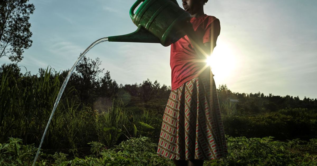 BRAC’s call to reimagine development cooperation: three recommendations ...