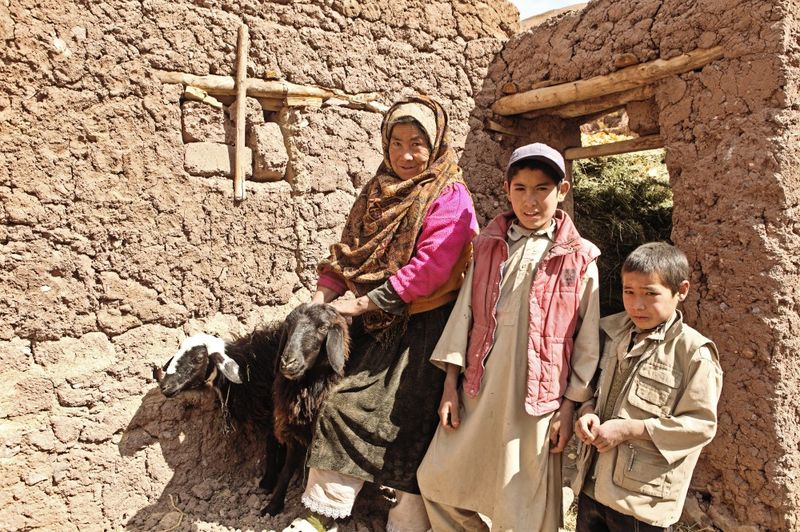 Ultra-poor Graduation and livelihoods - BRAC International